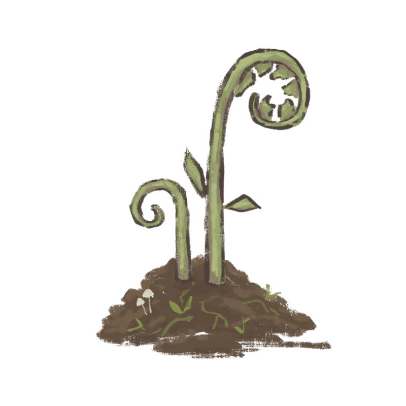 The Seedling: Defining Your Intention - Tūhono Impact