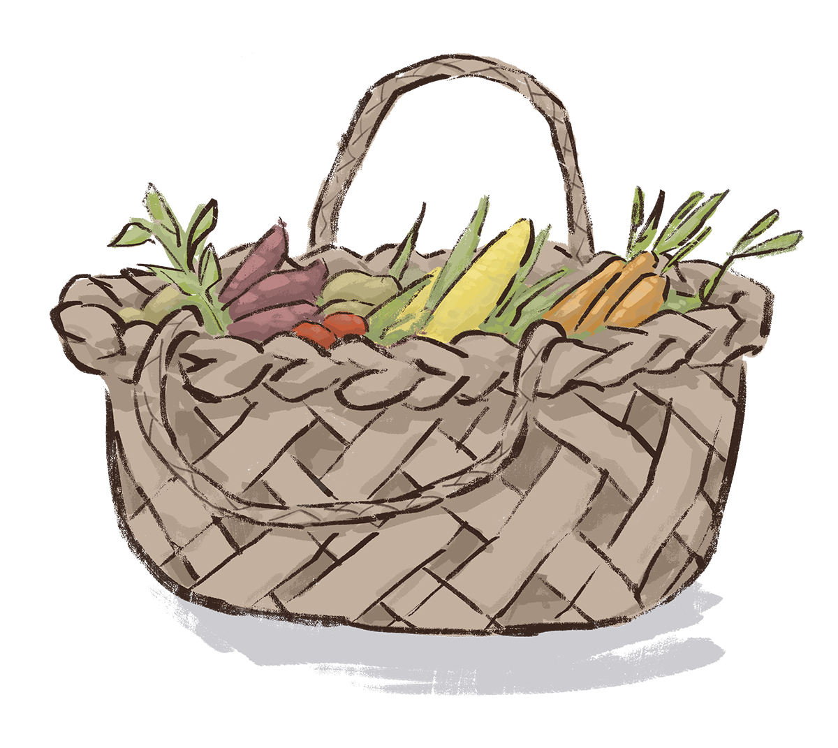 The Harvest Basket: Sharing Impact - Tūhono Impact